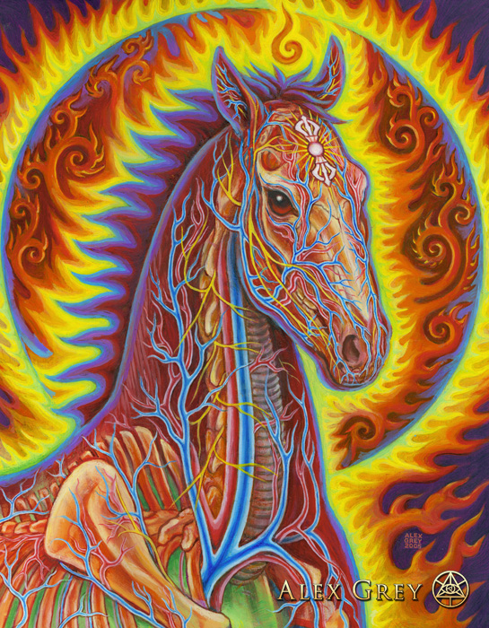 Alex Grey y su arte visionario - ttamayo.com