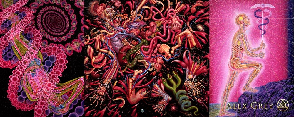 Journey of the Wounded Healer - Alex Grey